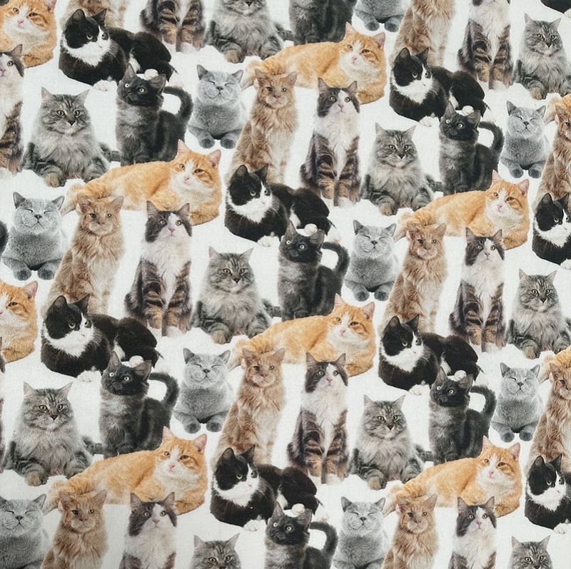 Coton imprime oeko-tex les chats | Tissu fil & compagnie